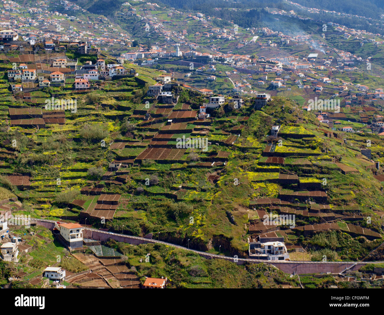 Agriculture fields in steps in Madeira Island Stock Photo - Alamy