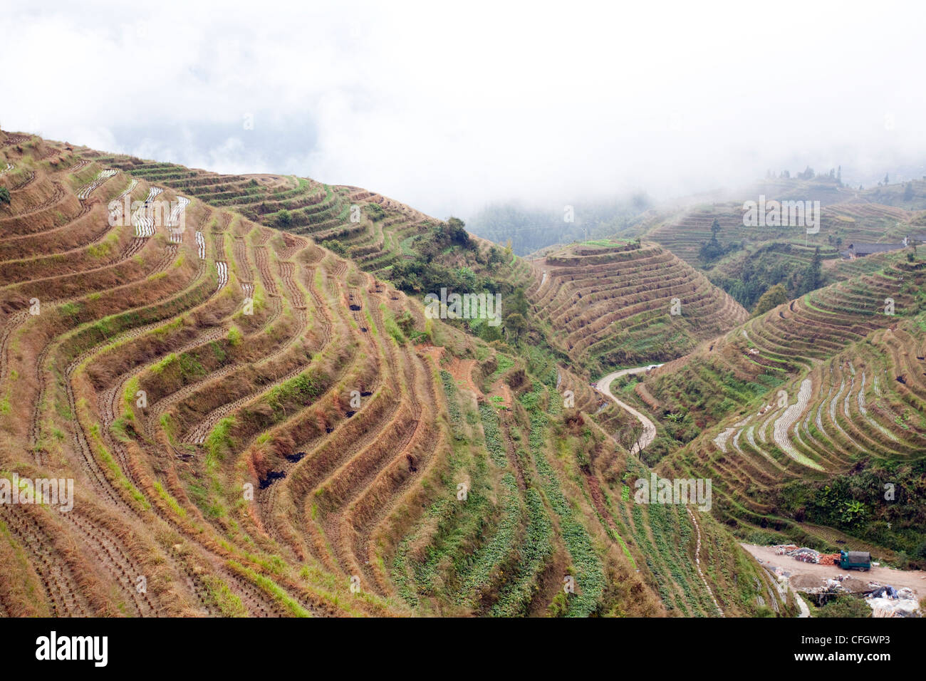 Longji (Dragon's Backbone) Terraced Rice Fields, Longsheng, China Stock ...