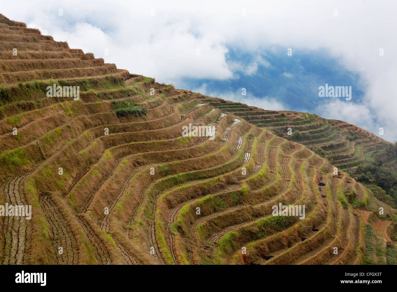 Longji (Dragon's Backbone) Terraced Rice Fields, Longsheng, China Stock ...