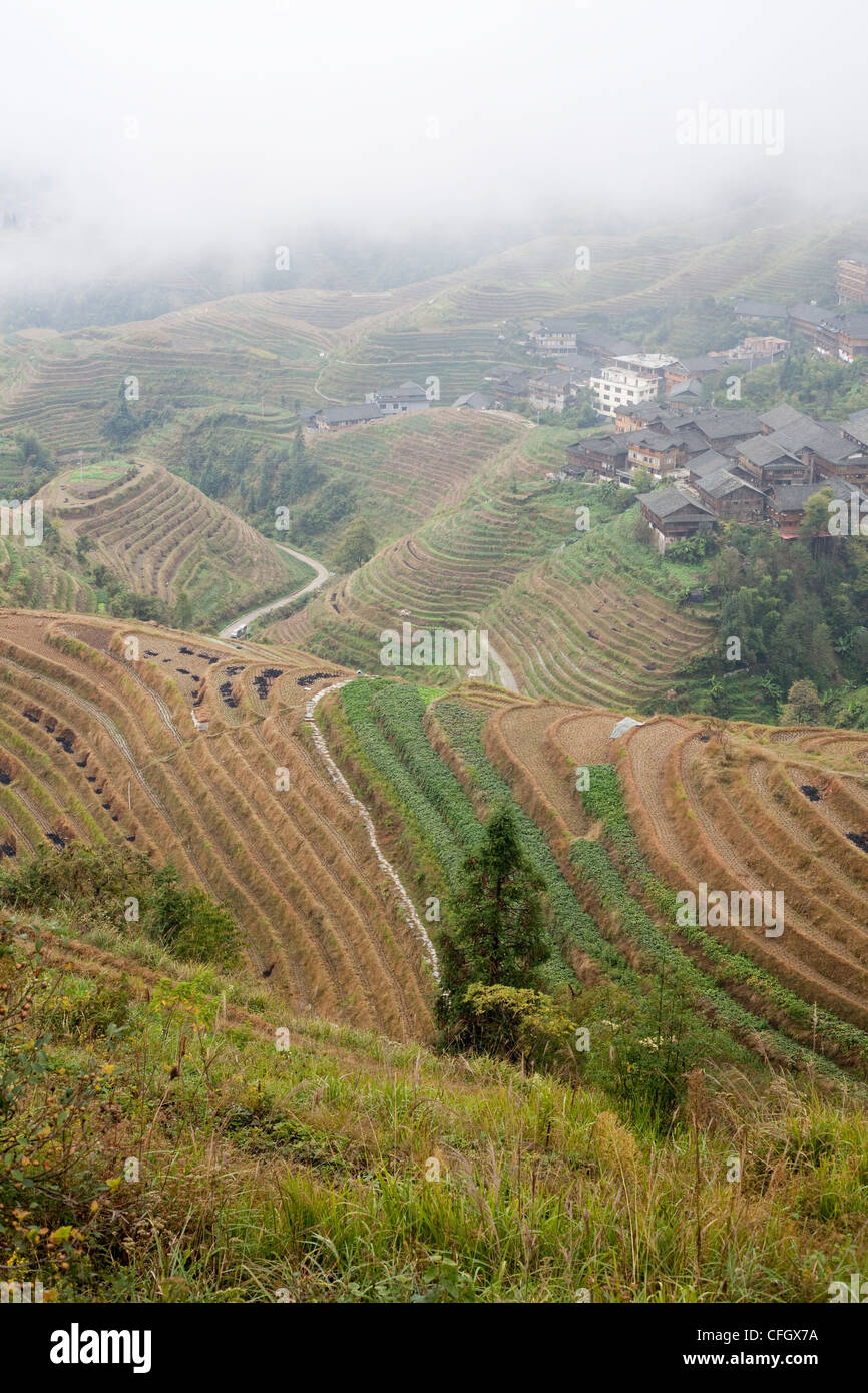Longji (Dragon's Backbone) Terraced Rice Fields, Longsheng, China Stock ...