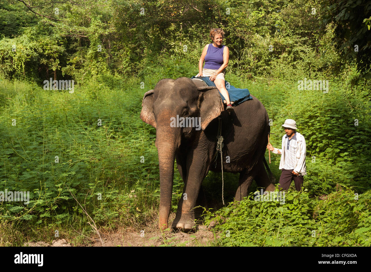 Man and woman riding elephant hi-res stock photography and images - Alamy