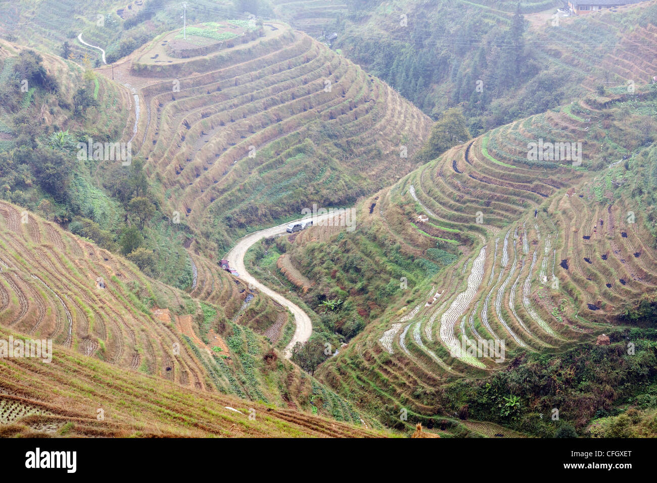 Longji (Dragon's Backbone) Terraced Rice Fields, Longsheng, China Stock ...