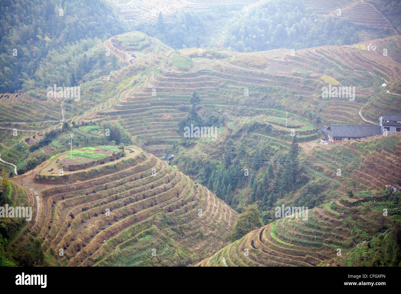 Longji (Dragon's Backbone) Terraced Rice Fields, Longsheng, China Stock ...