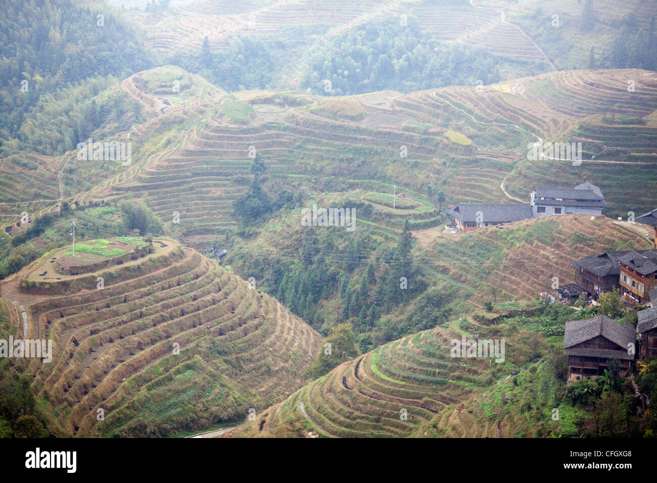 Longji (Dragon's Backbone) Terraced Rice Fields, Longsheng, China Stock ...