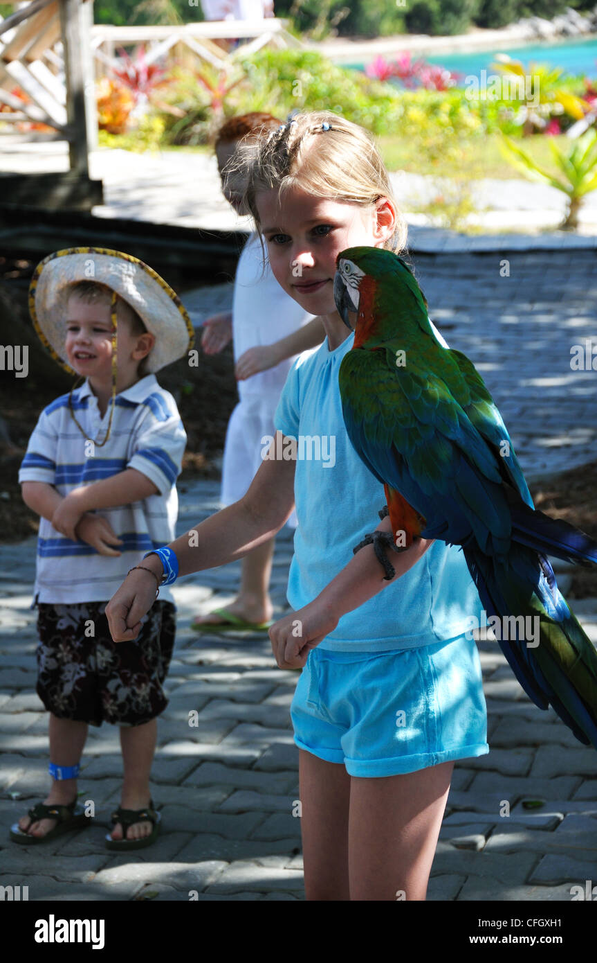Macaw Parrot and children, Bahamas Stock Photo - Alamy