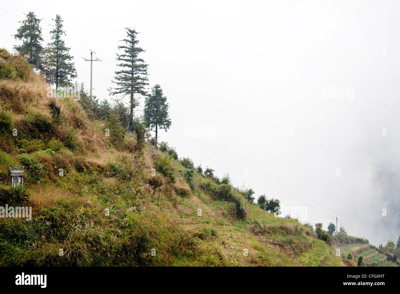 Longji (Dragon's Backbone) Terraced Rice Fields, Longsheng, China Stock ...