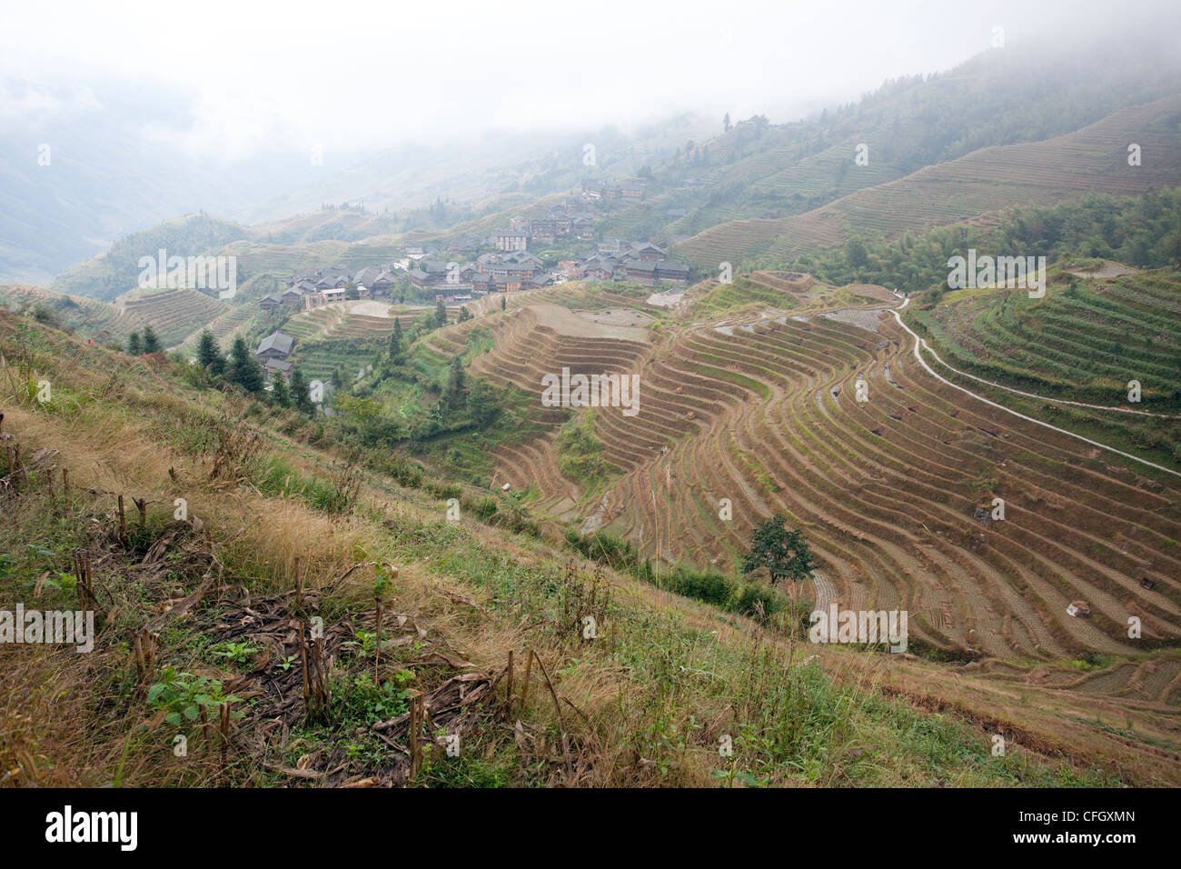 Longji (Dragon's Backbone) Terraced Rice Fields, Longsheng, China Stock ...