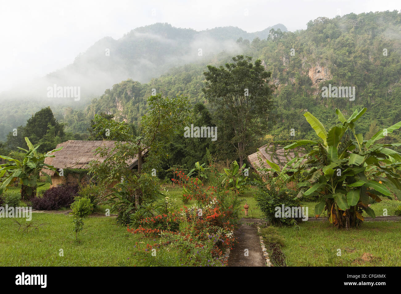 Mist nest hi-res stock photography and images - Alamy