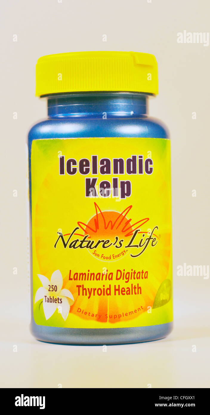 Icelandic kelp hi-res stock photography and images - Alamy
