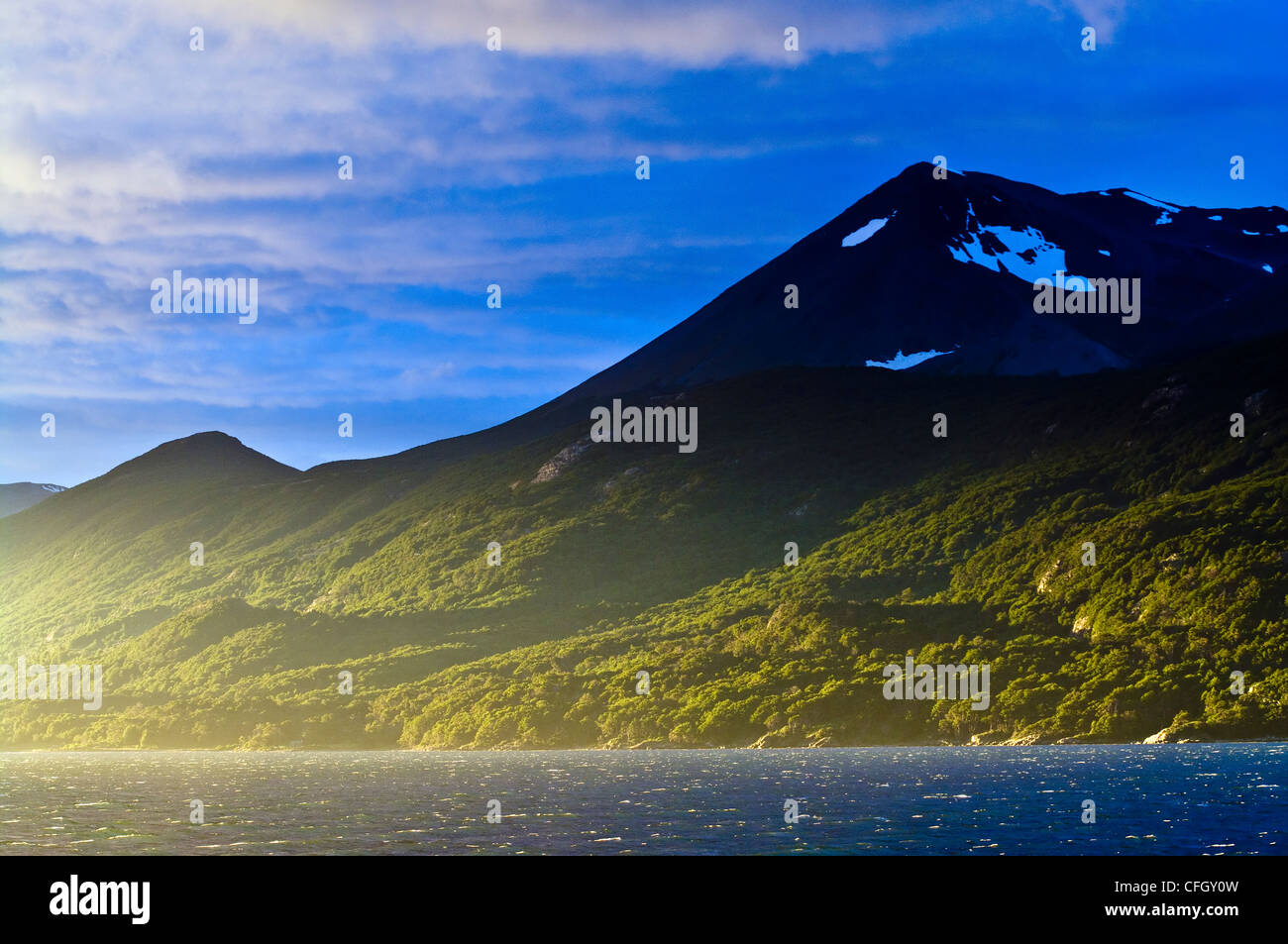 Sun rays illuminate a beech forest on lower slopes of the Andes Stock ...