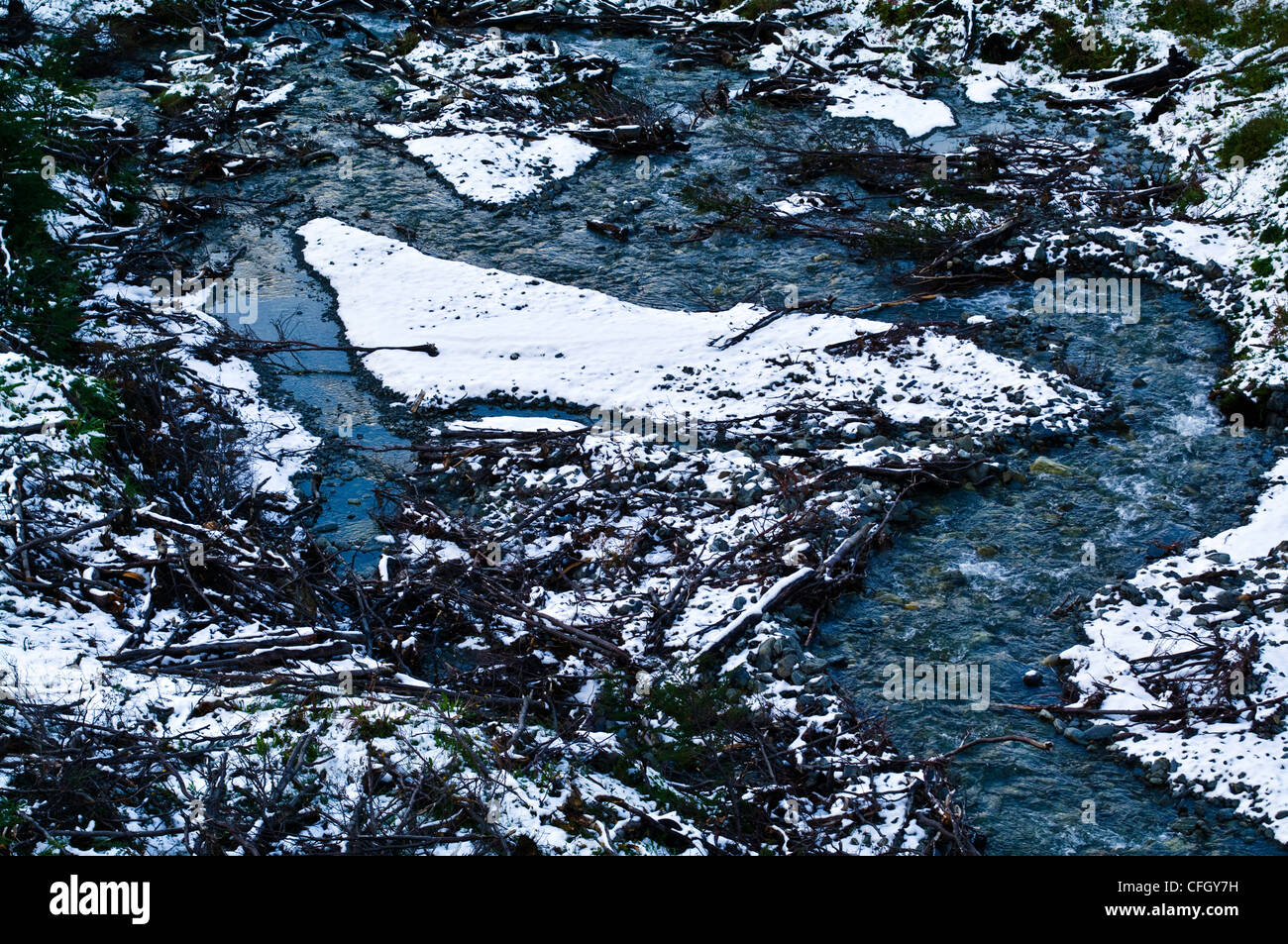 A snowy alpine river choked by trees and logs smashed by winter storms ...