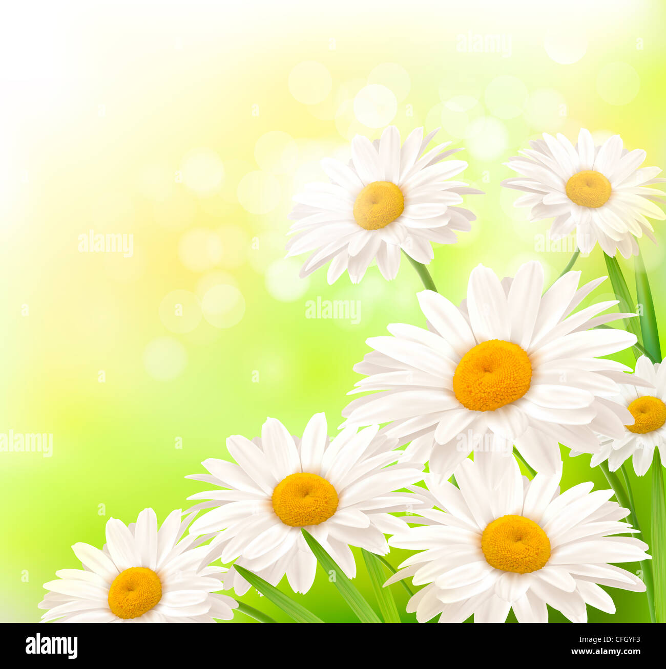 Beautiful background with grass and daisies Stock Photo - Alamy
