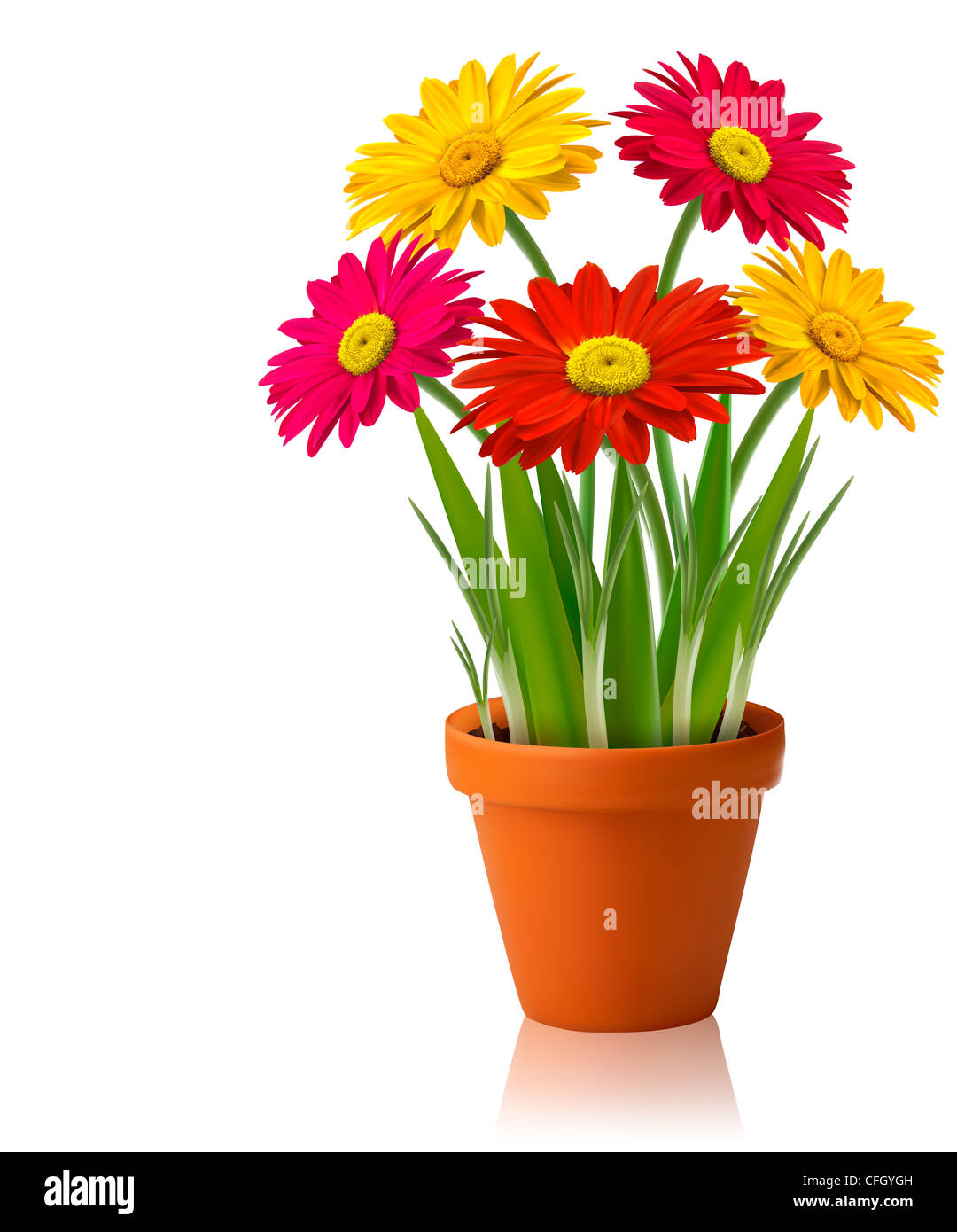 Fresh spring color flowers Stock Photo - Alamy