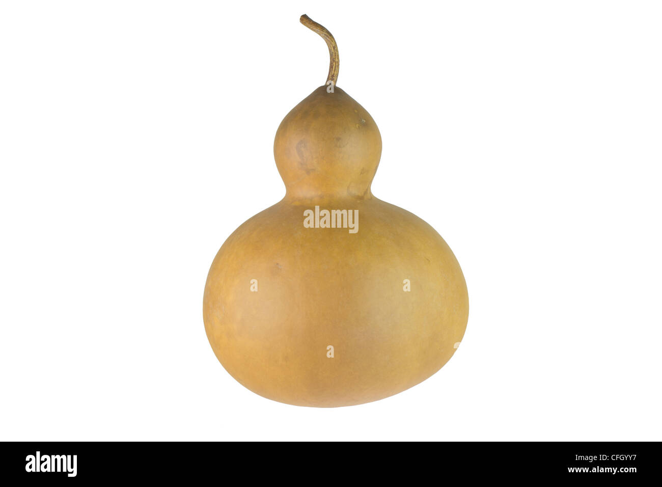 Calabash plant hi-res stock photography and images - Alamy