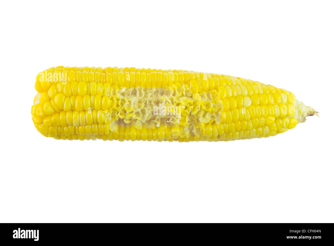 Boiled corn isolated on white background Stock Photo - Alamy