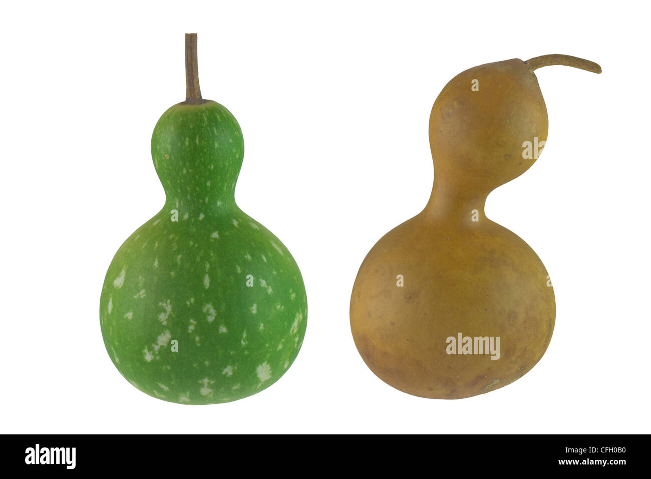 Dried and raw calabash isolated on white background Stock Photo - Alamy