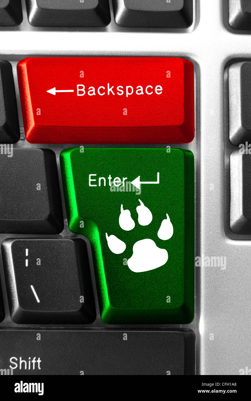 Close-up of Computer keyboard, with "Animal trace" key Stock Photo - Alamy