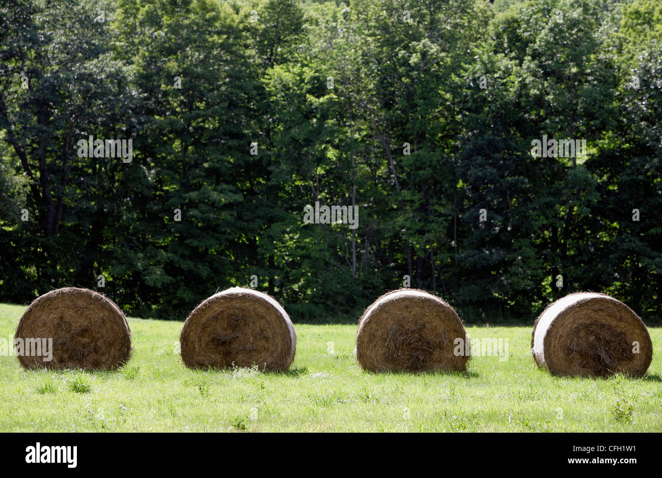Round bales in field hi-res stock photography and images - Alamy