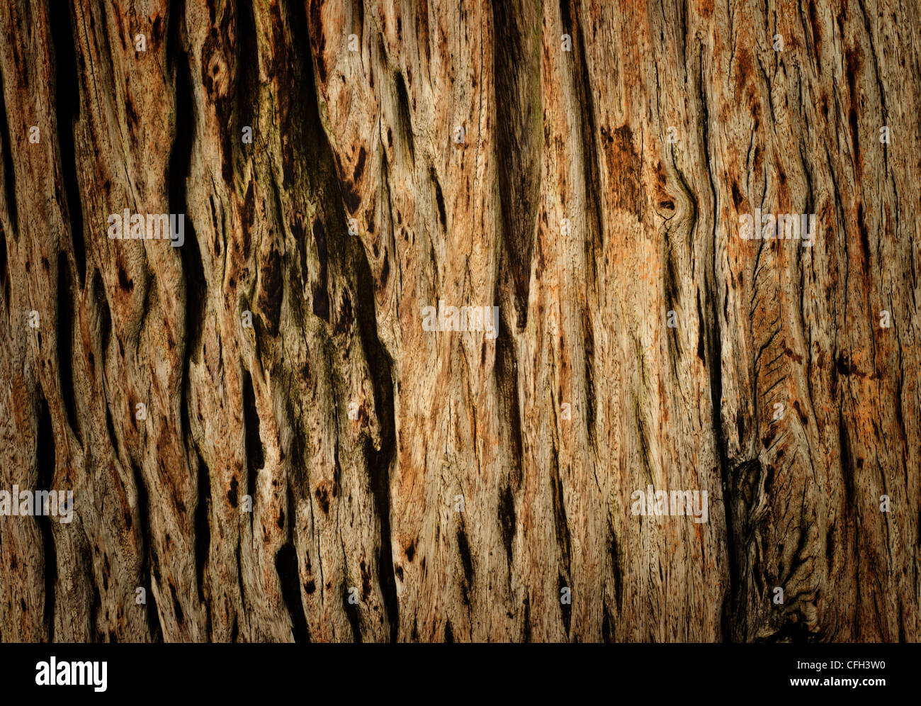 Wood texture with straight lines Stock Photo - Alamy