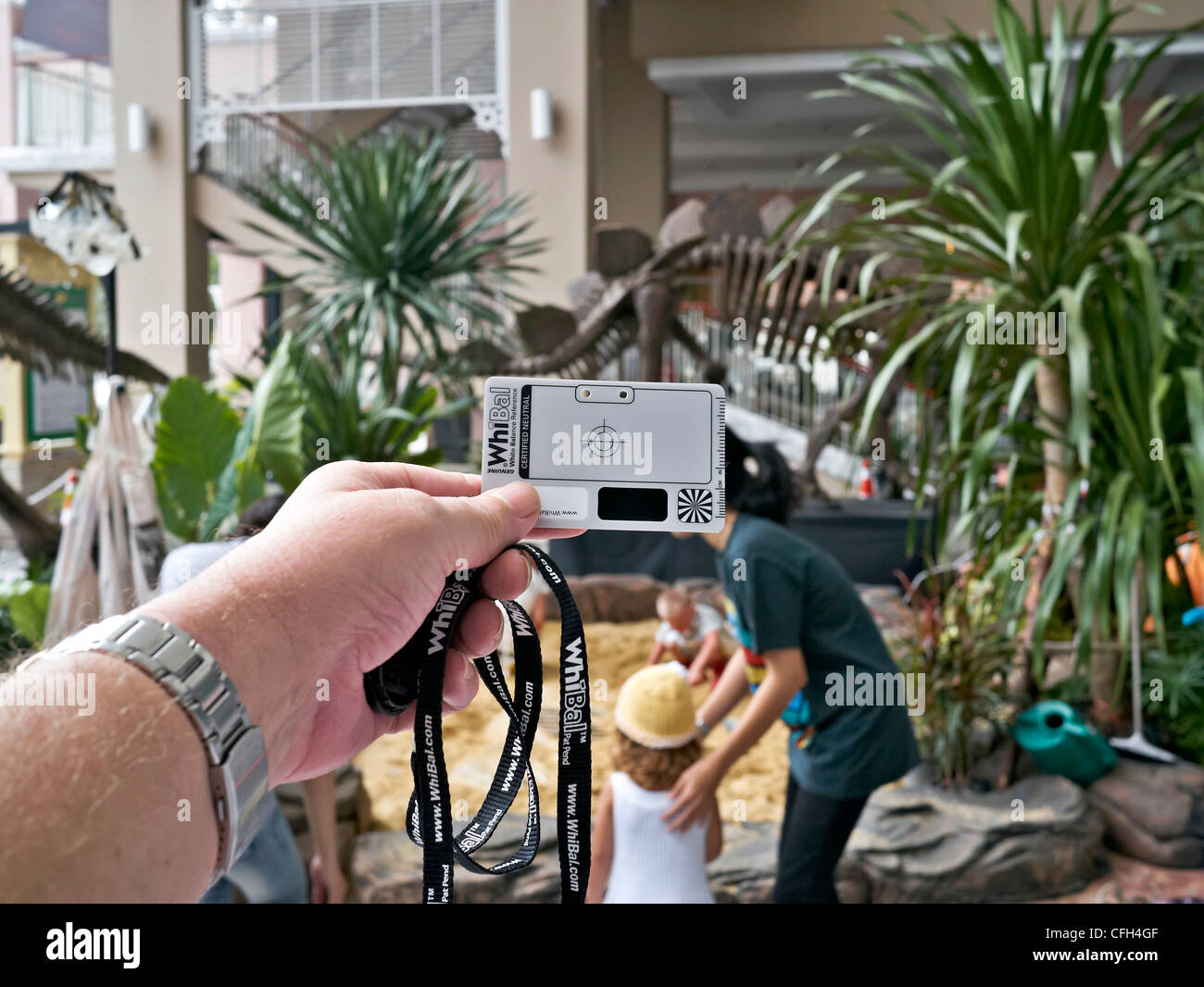 White card utilized for digital image color accuracy reproduction ...