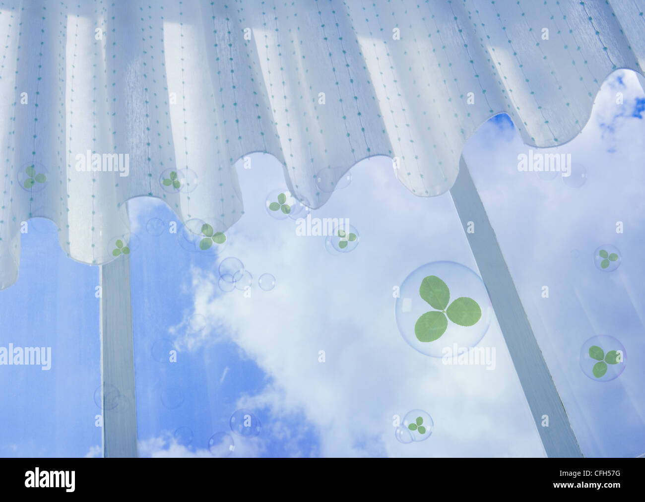Clover and bubbles at window Stock Photo - Alamy