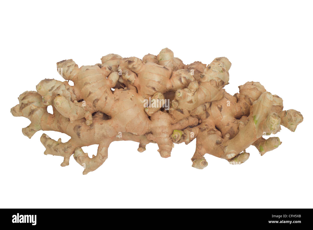 Big ginger isolated on a white background Stock Photo - Alamy