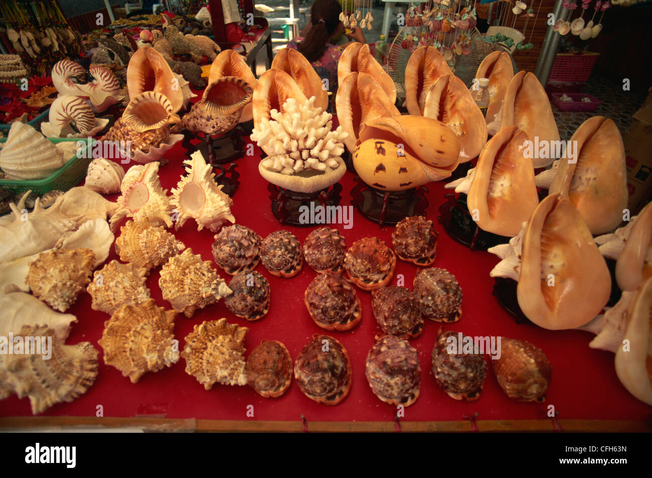 China, Hainan Island, Sanya, Dadonghai Beach, Seashells for Sale Stock ...