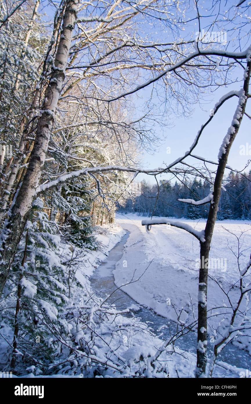 Winter snow landscapes in Ruissalo at the Kuuva area in Turku, Finland ...