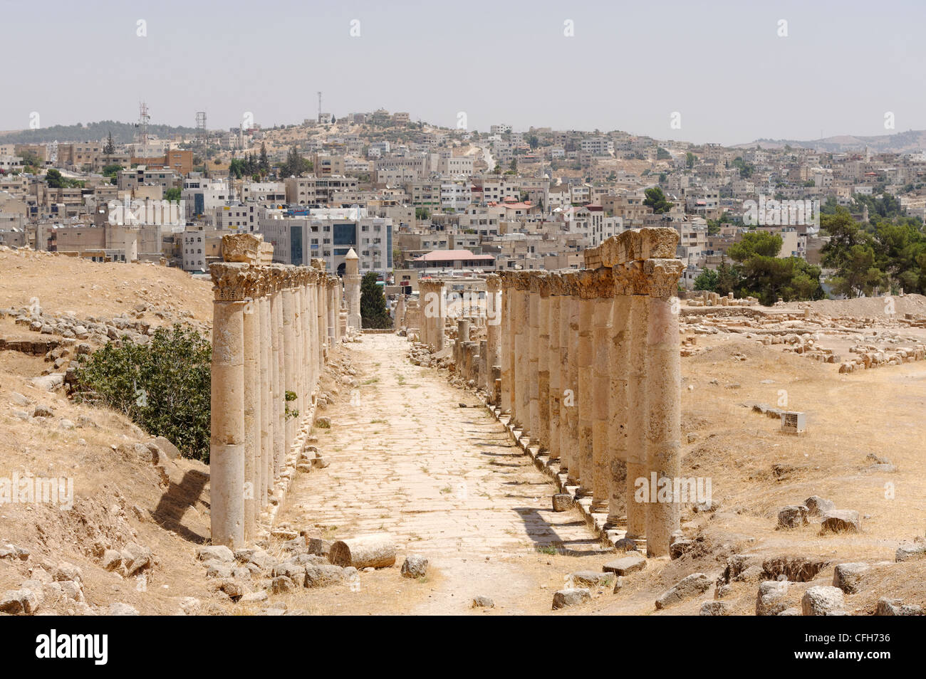 Decumanus major hi-res stock photography and images - Alamy