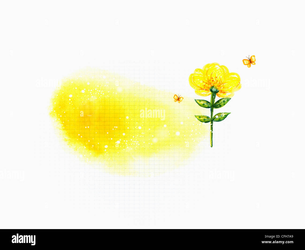The pastel yellow colored flower Stock Photo - Alamy