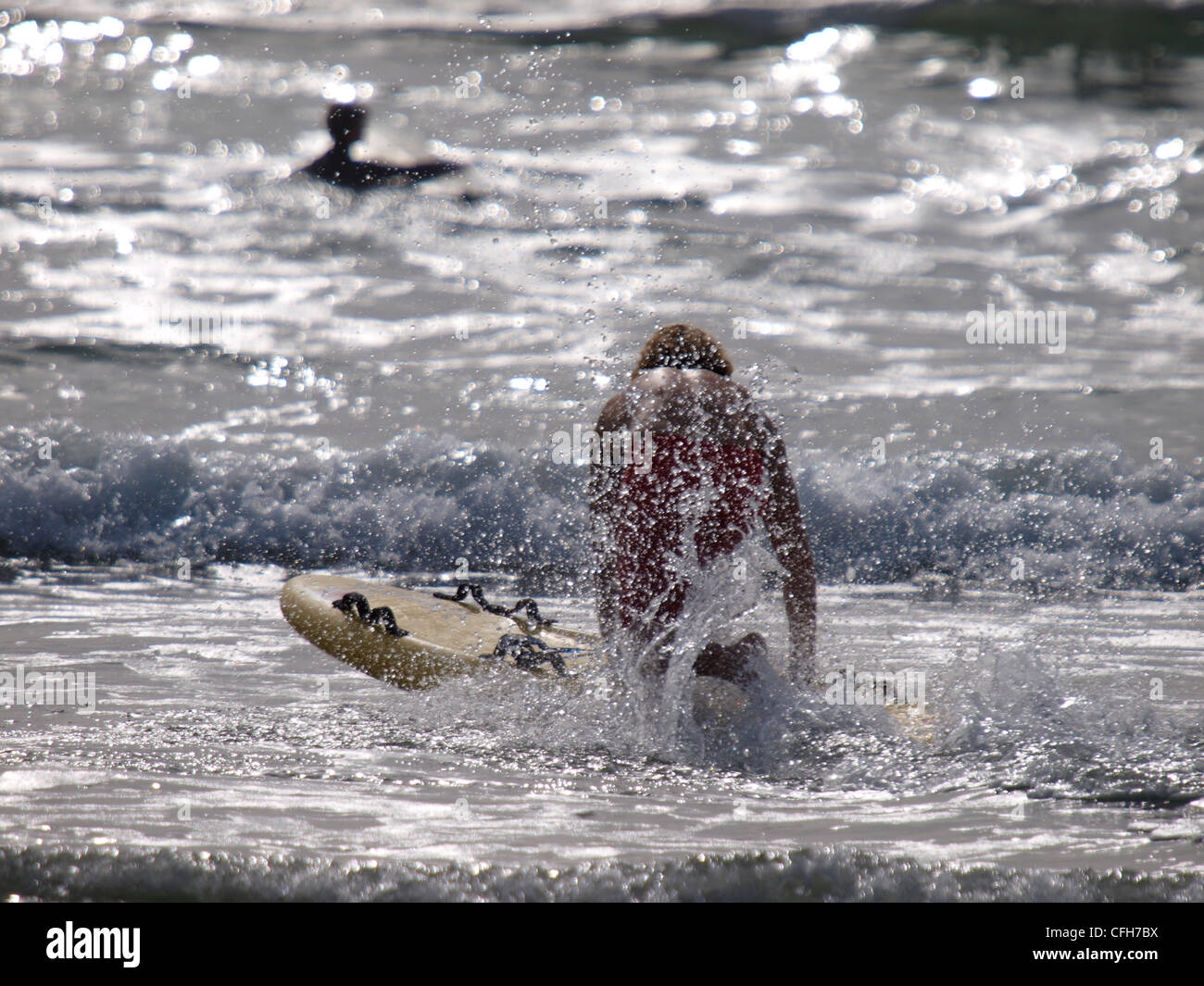 Uk sea life hi-res stock photography and images - Alamy