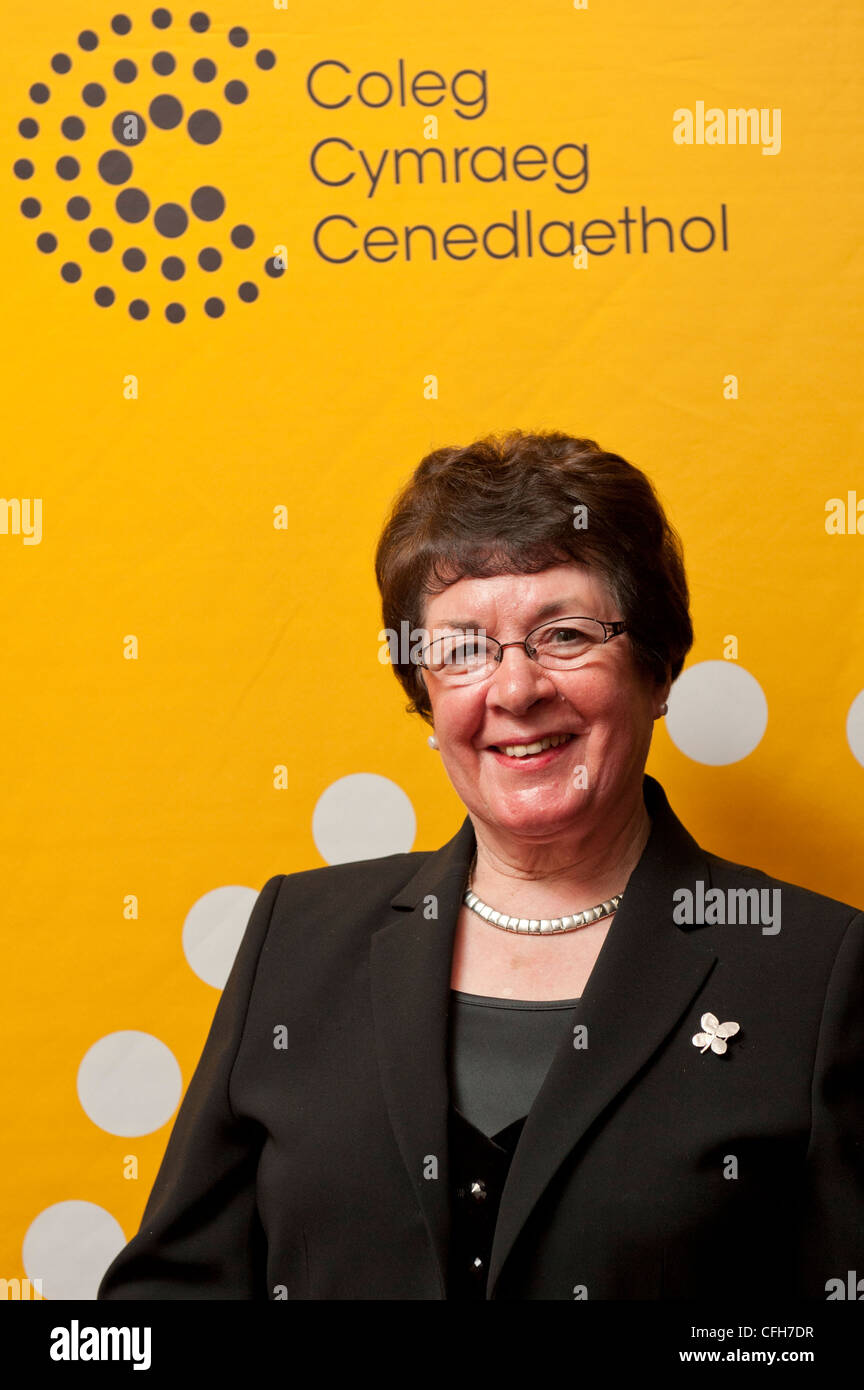 Veteran welsh educationalist and campaigner for the rights and status ...