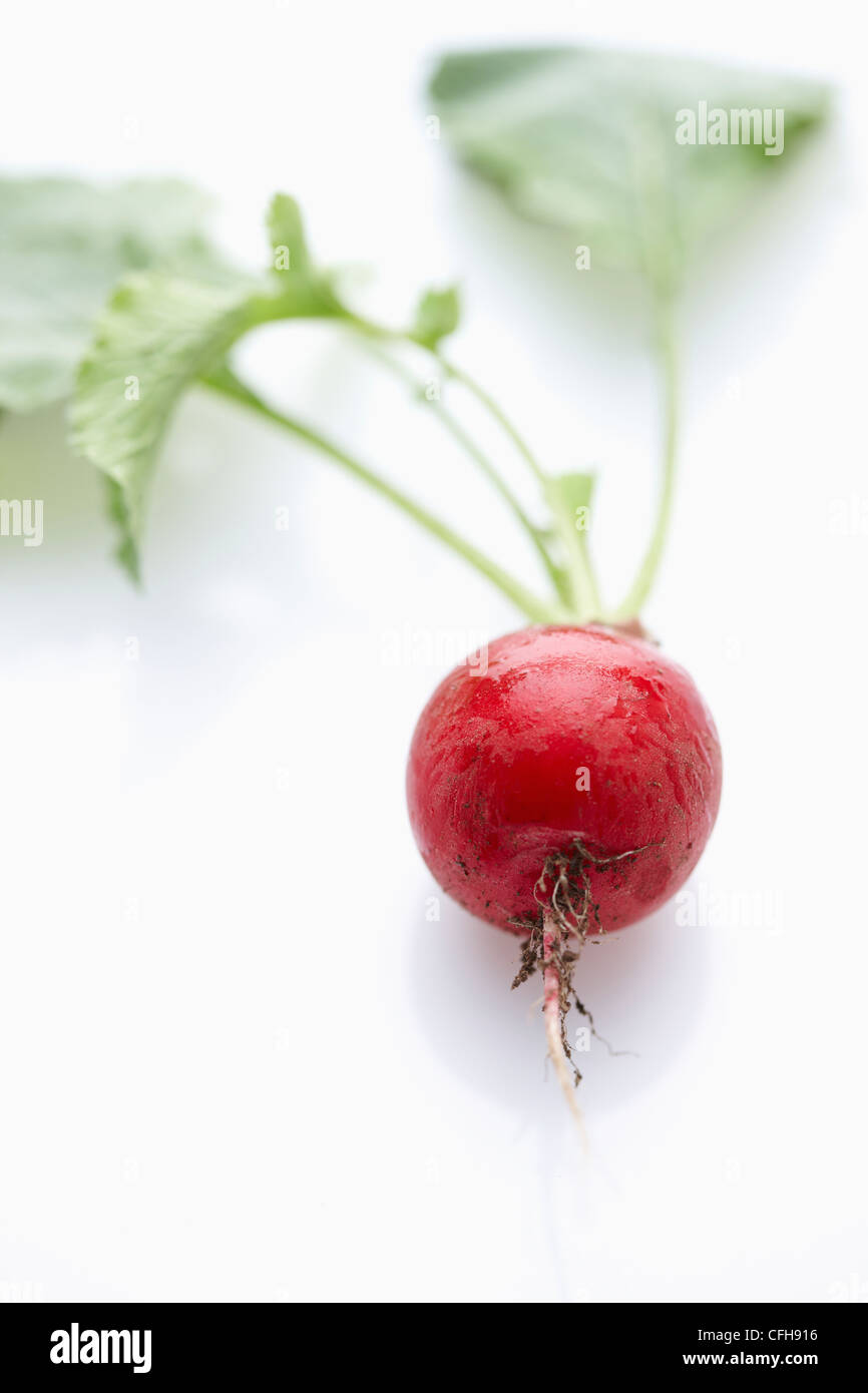 The red turnip and green leaves Stock Photo - Alamy
