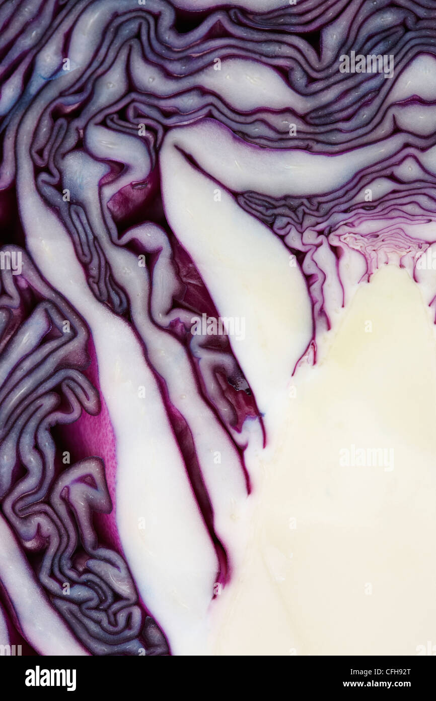 The inside of red cabbage Stock Photo - Alamy