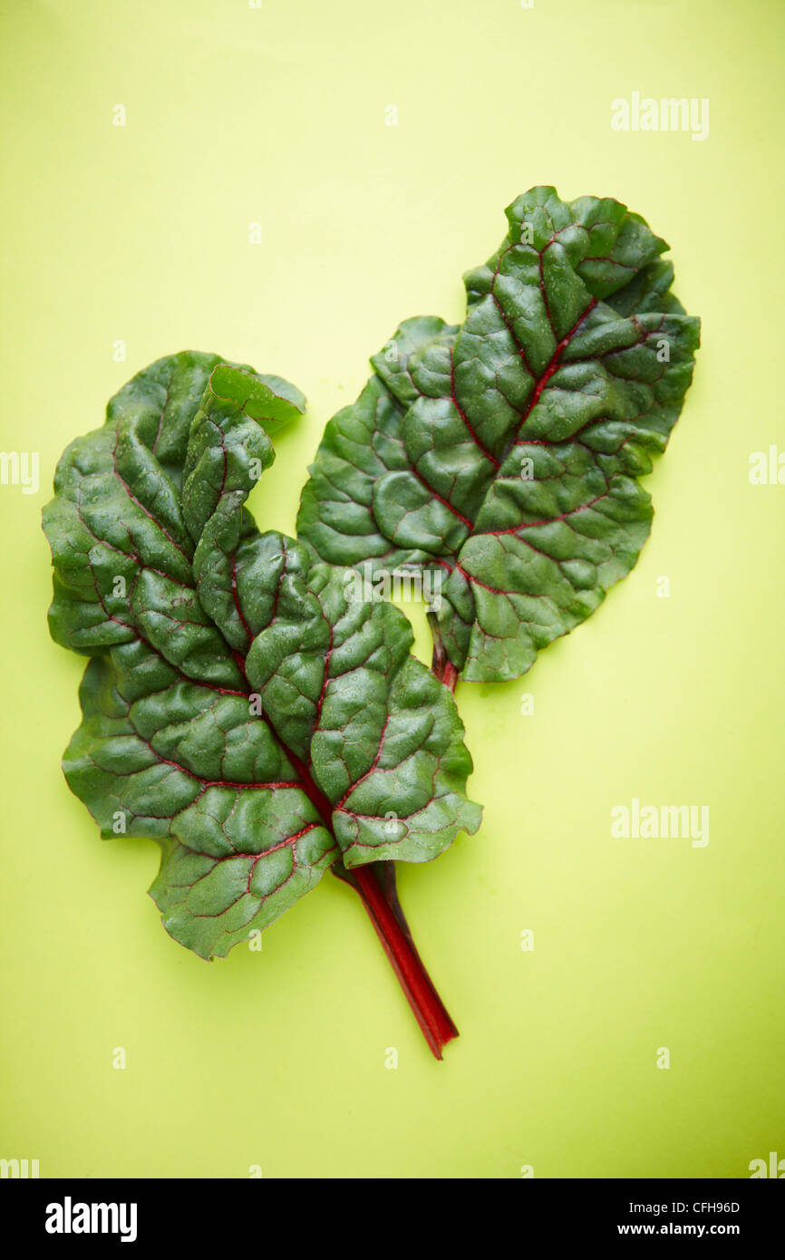 The green and red leaf of beet with the green background Stock Photo ...