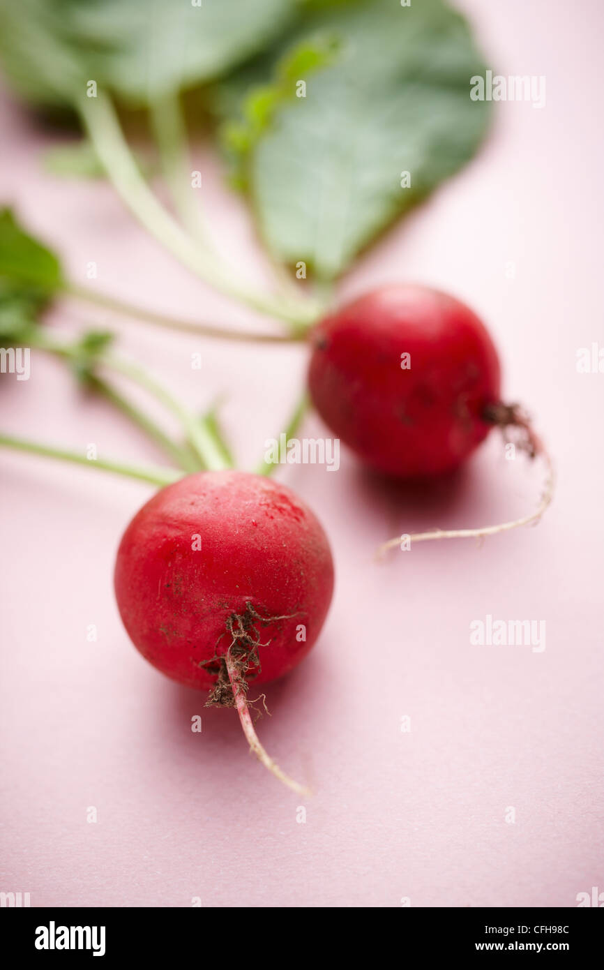 The red turnips and green leaves with the pink background Stock Photo ...