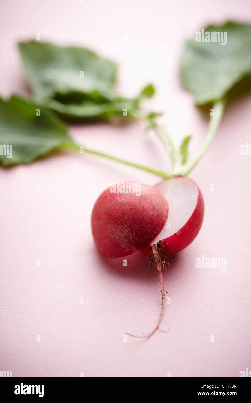 The red turnip in half and green leaves with the pink background Stock ...