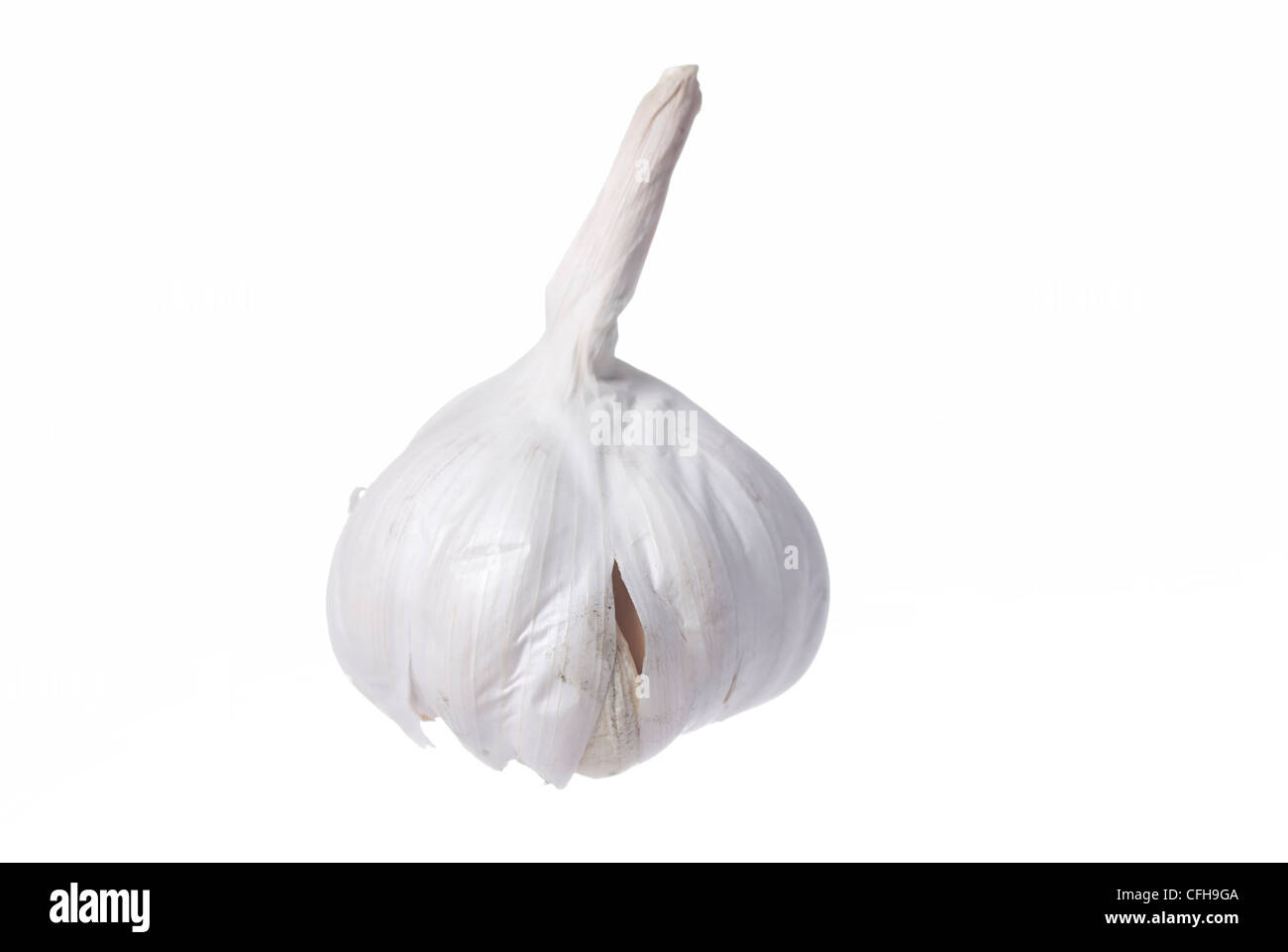 One garlic on white background. Focus on split in shell Stock Photo - Alamy