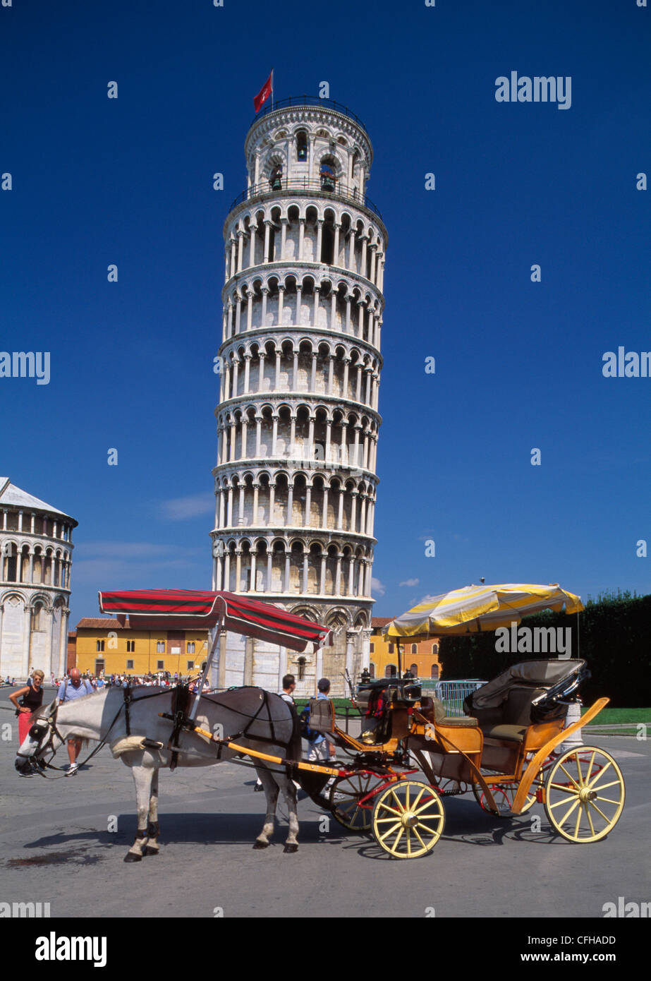 Tourist horse and carriage and the Leaning Tower of Pisa in the Piazza ...
