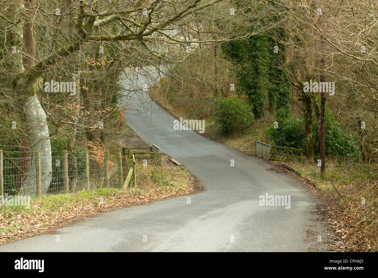 Country Road Wales High Resolution Stock Photography and Images - Alamy