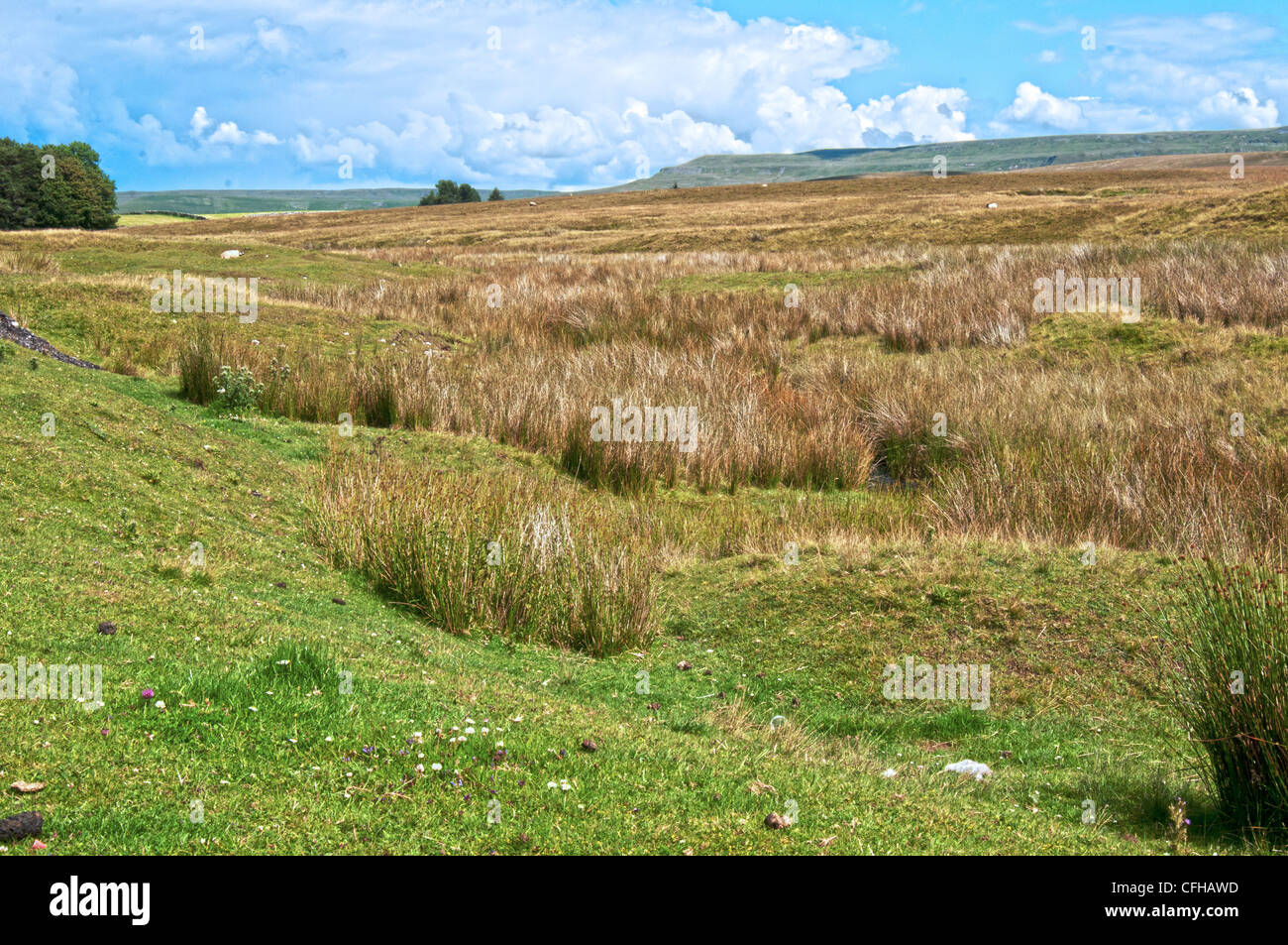 Birkdale hi-res stock photography and images - Alamy