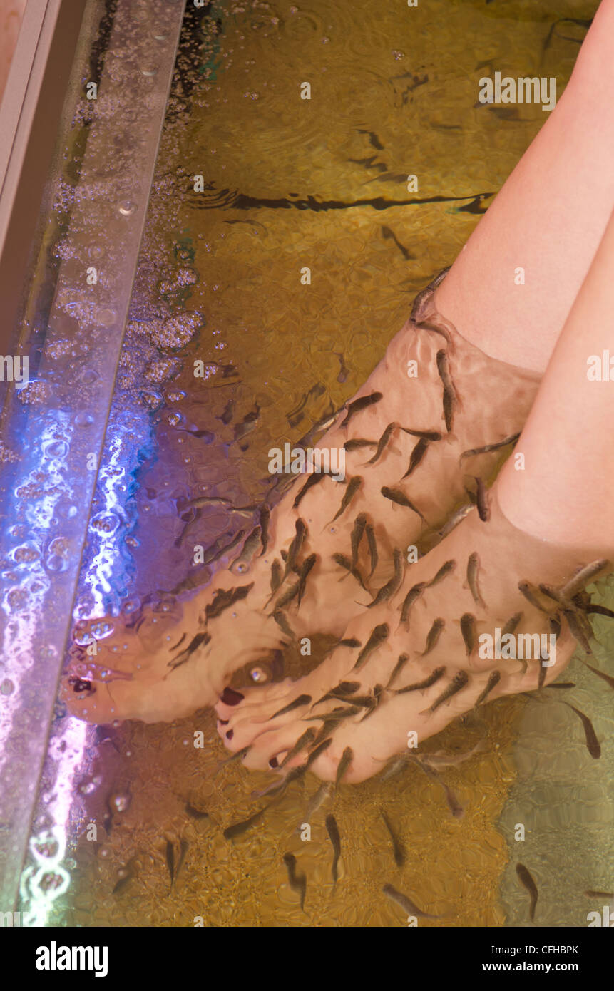 Fish spa pedicure wellness skin care treatment Stock Photo - Alamy
