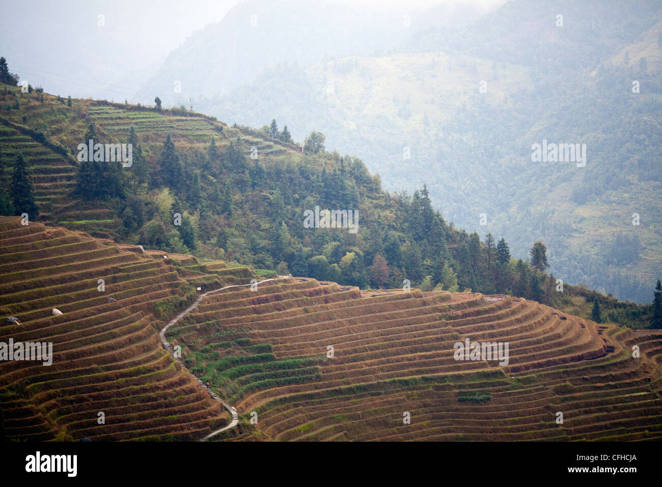 Longji (Dragon's Backbone) Terraced Rice Fields, Longsheng, China Stock ...