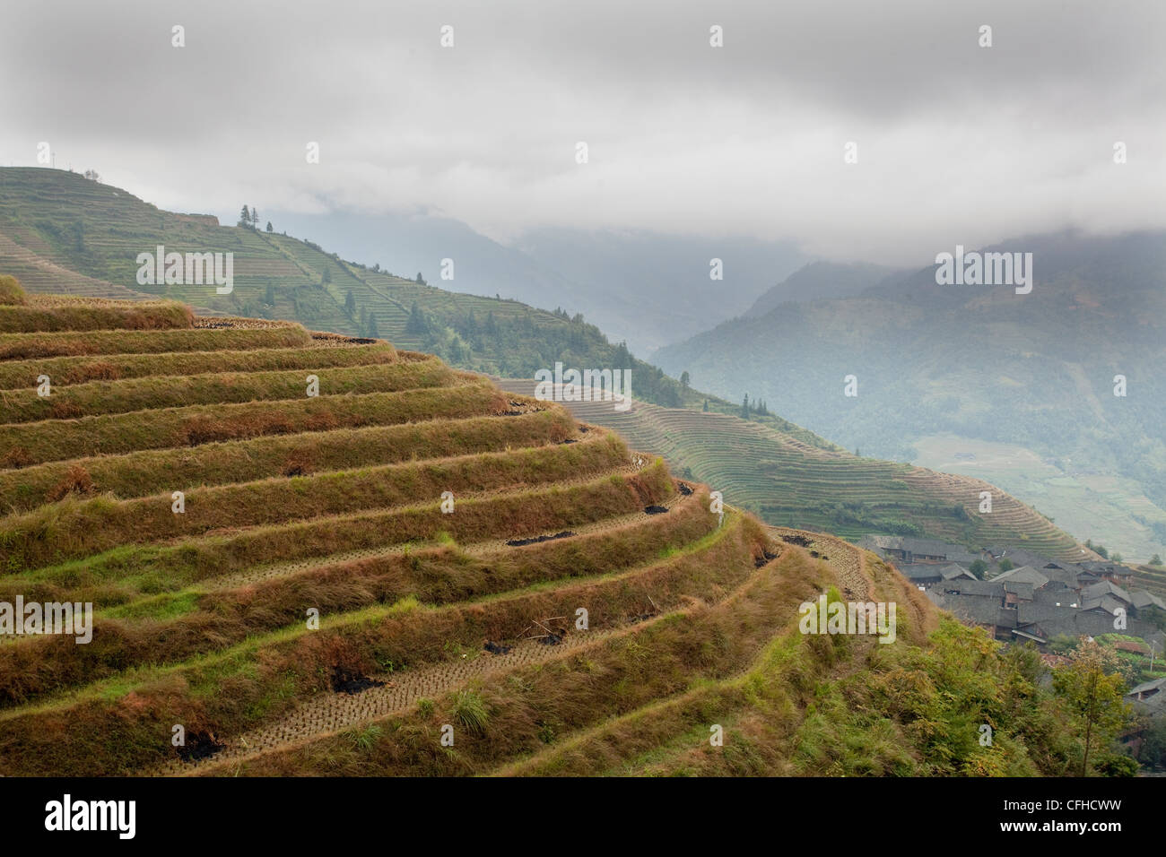 Longji (Dragon's Backbone) Terraced Rice Fields, Longsheng, China Stock ...