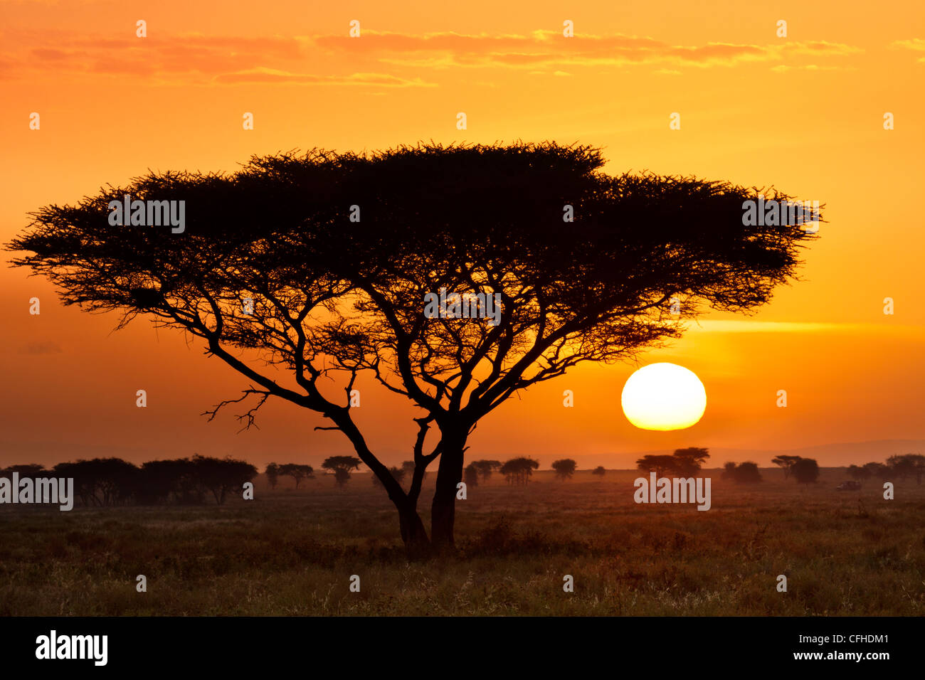 African Sunset Stock Photos & African Sunset Stock Images - Alamy