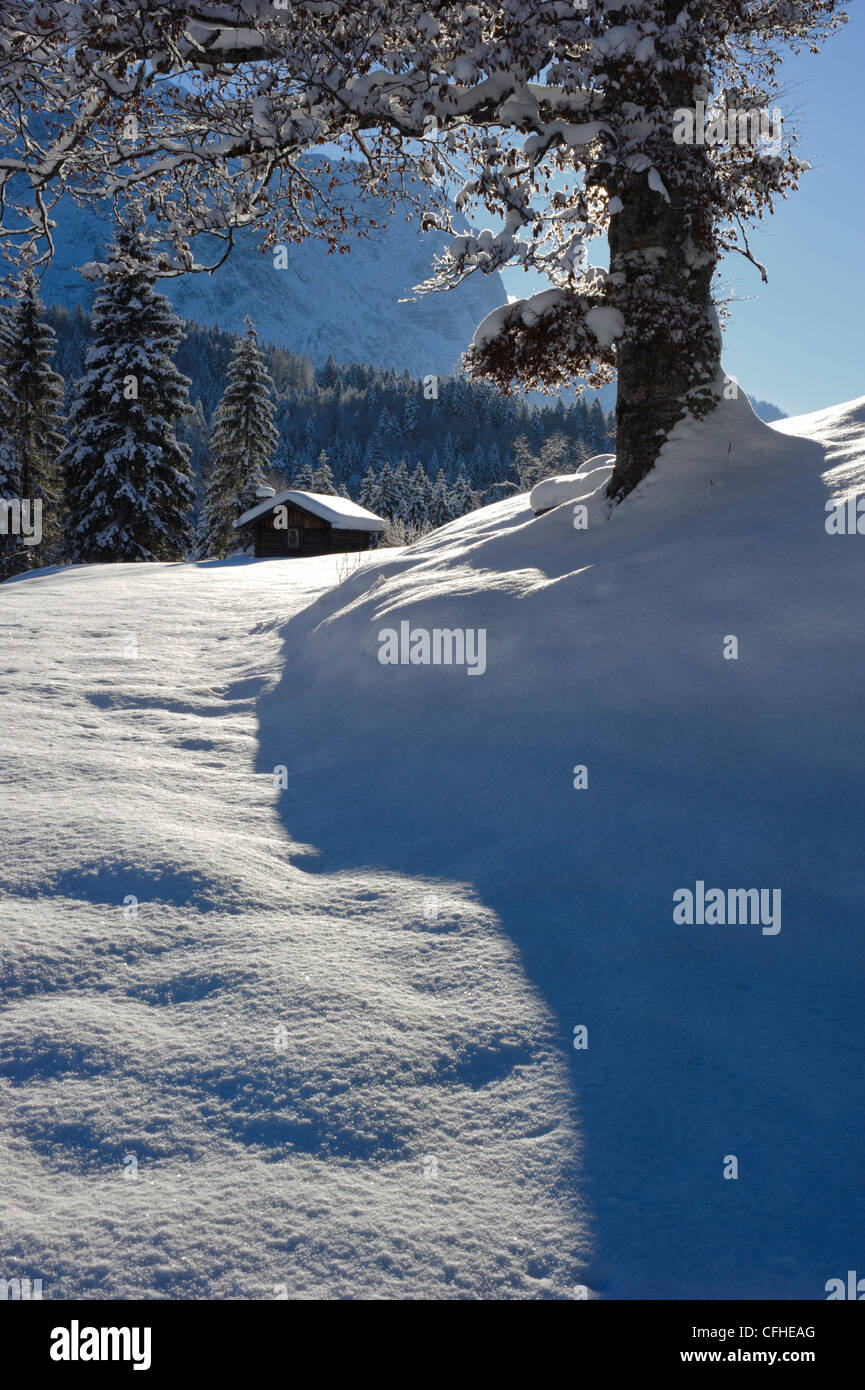 winter landscape at alp mountains in bavaria, germany Stock Photo - Alamy