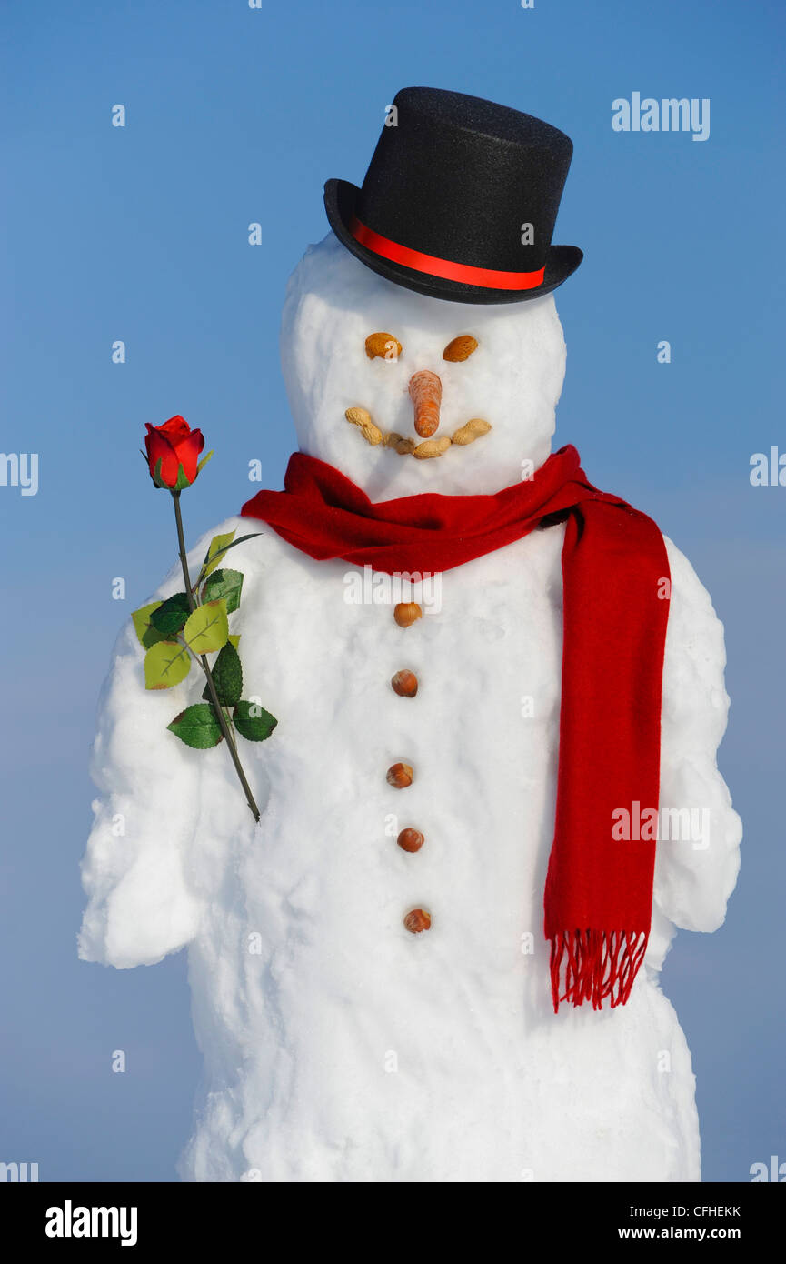 Snowman flower hi-res stock photography and images - Alamy