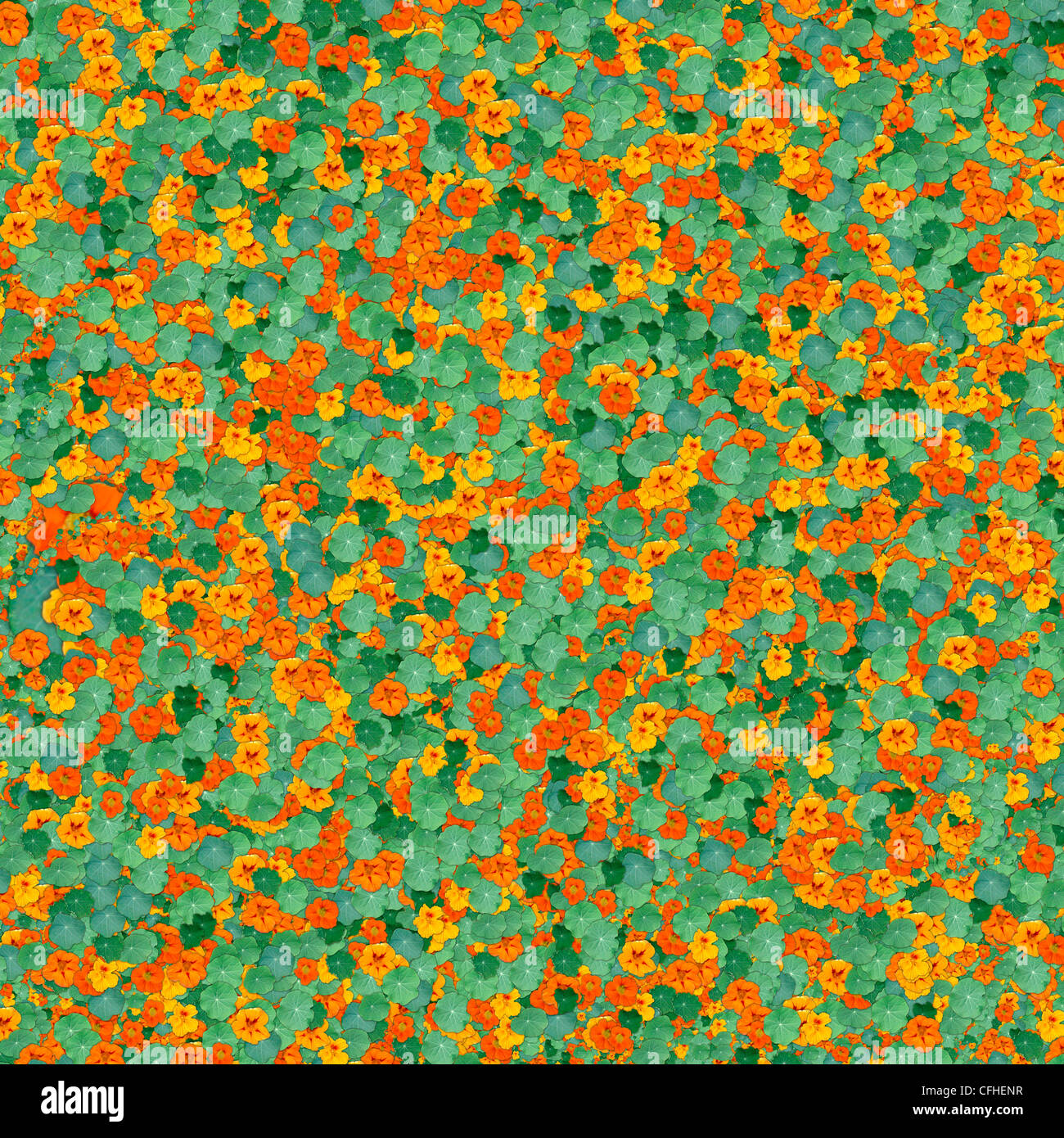 Spring wallpaper with lots of flowers Stock Photo - Alamy