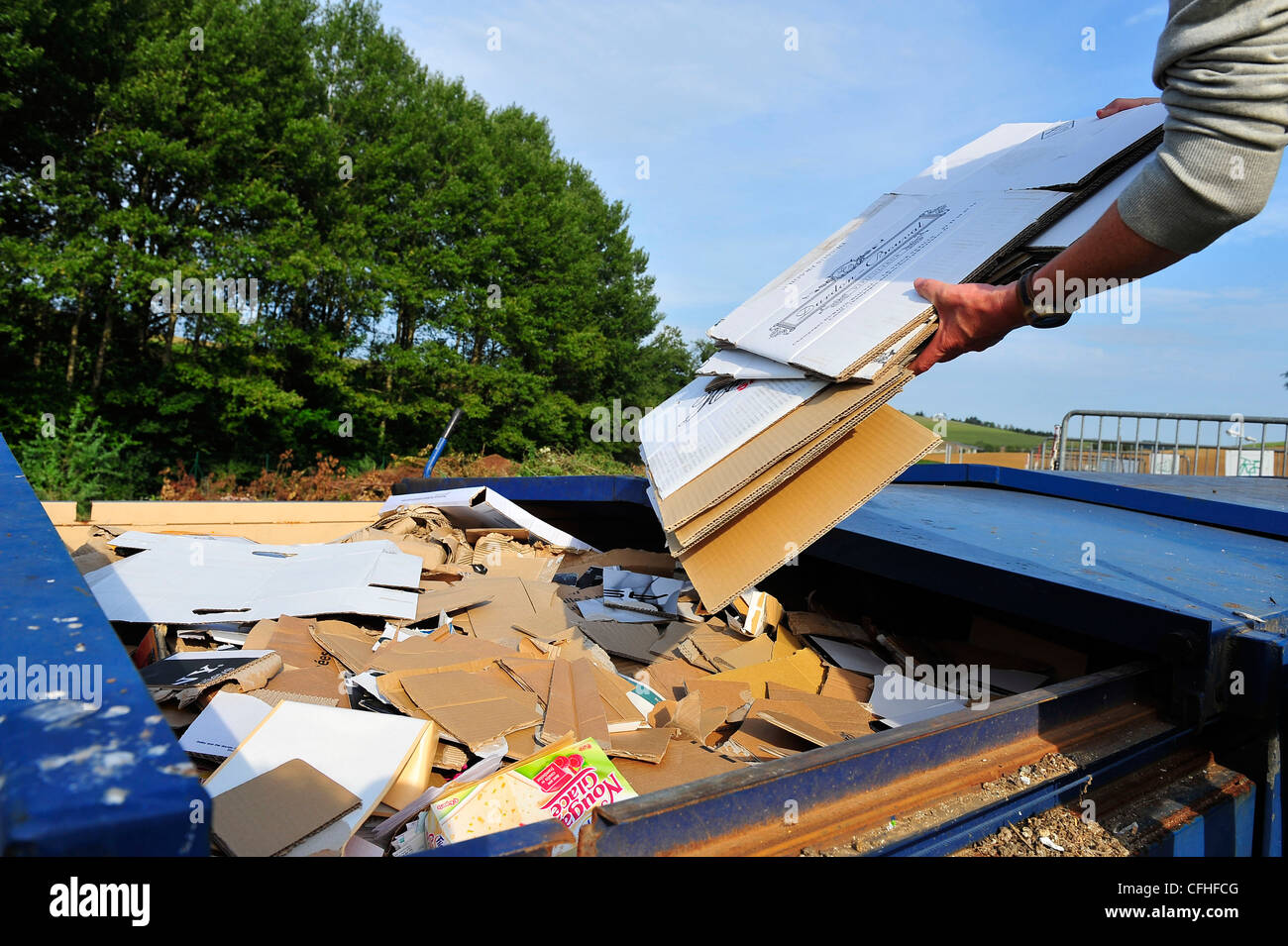 Selective sorting. Cardboard Stock Photo - Alamy