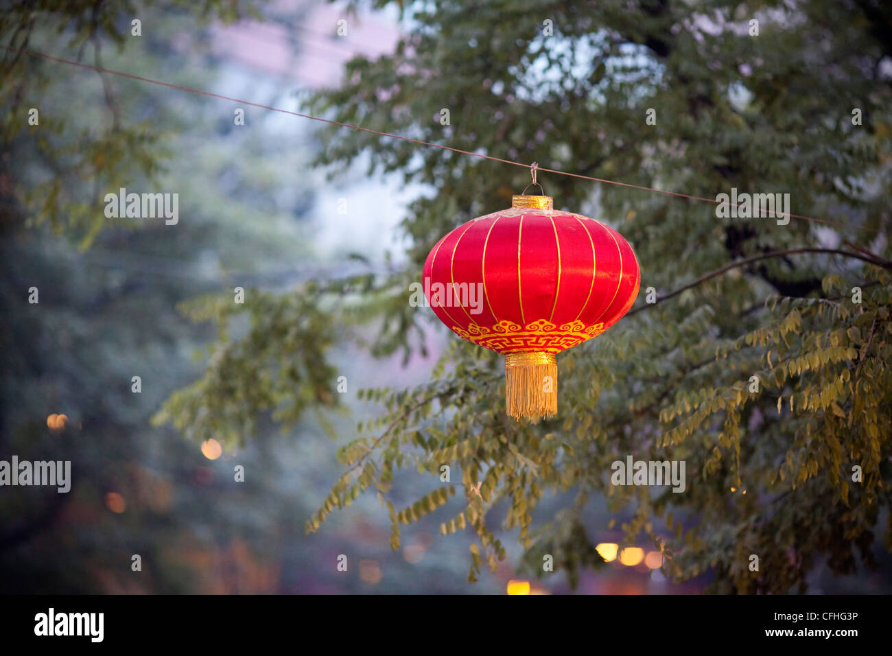 Red Chinese lantern hanging from a tree Stock Photo - Alamy